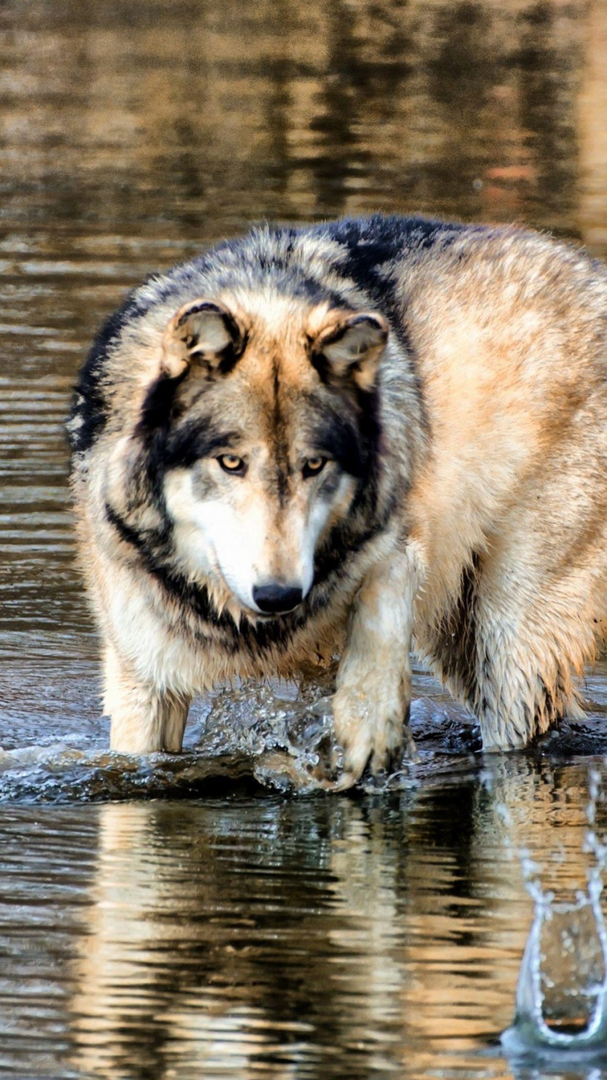 Hunting Phone Wallpapers - Top Free Hunting Phone Backgrounds ...