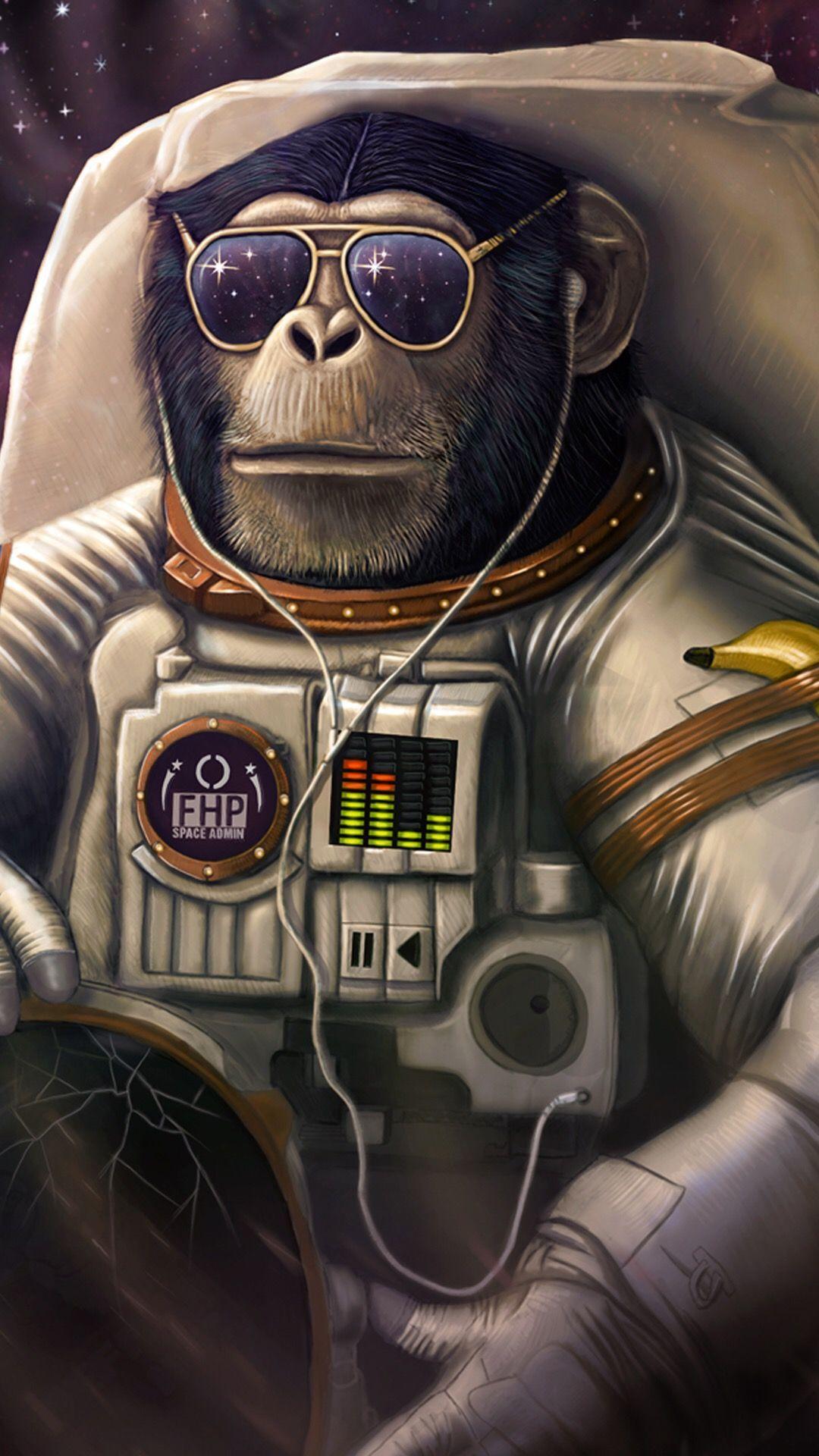 Macaco Wallpapers - Top Free Macaco Backgrounds - WallpaperAccess