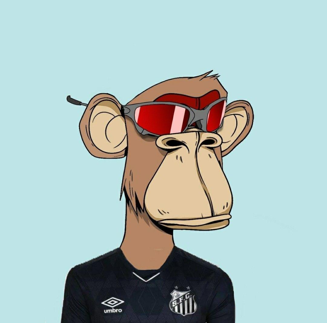 Macaco Wallpapers - Top Free Macaco Backgrounds - WallpaperAccess