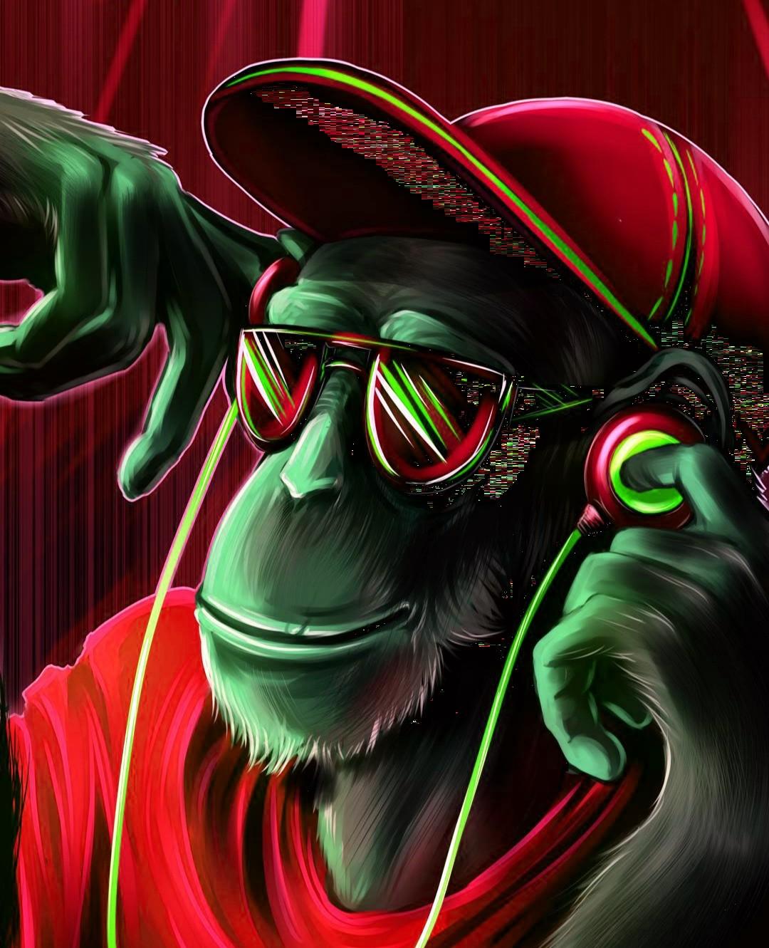 Macaco Wallpapers - Top Free Macaco Backgrounds - WallpaperAccess