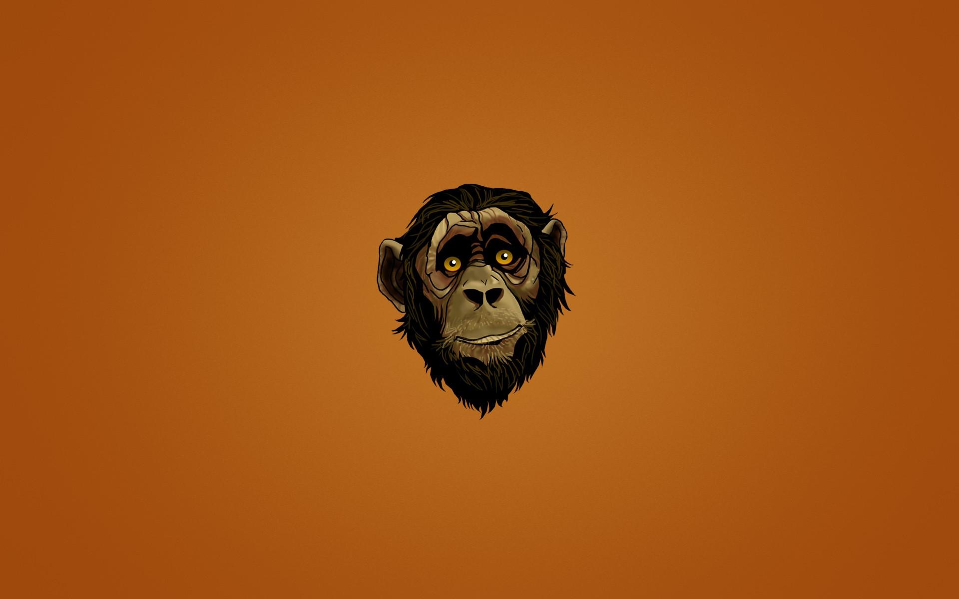 Macaco Wallpapers - Top Free Macaco Backgrounds - WallpaperAccess