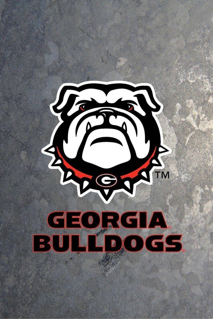 Georgia Football Wallpapers - Top Free Georgia Football Backgrounds ...