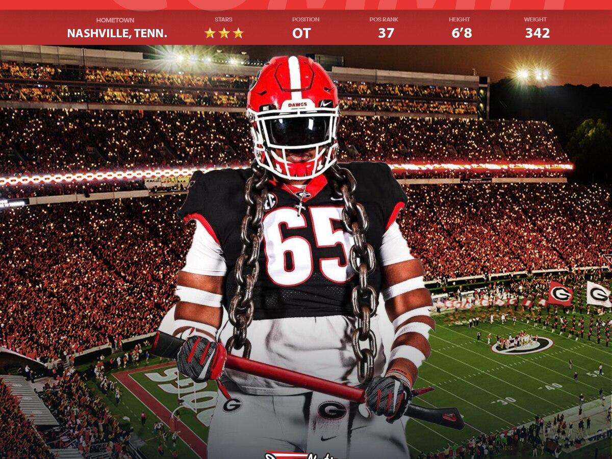 Georgia Football Wallpapers - Top Free Georgia Football Backgrounds ...