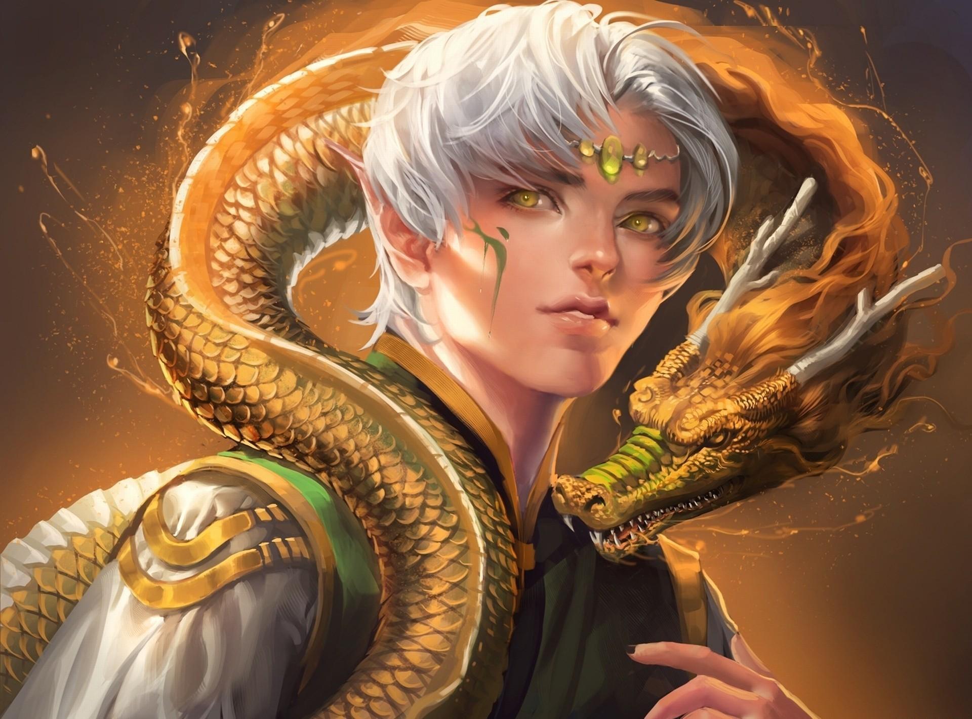 Portrait Dragon Wallpapers - Top Free Portrait Dragon Backgrounds ...
