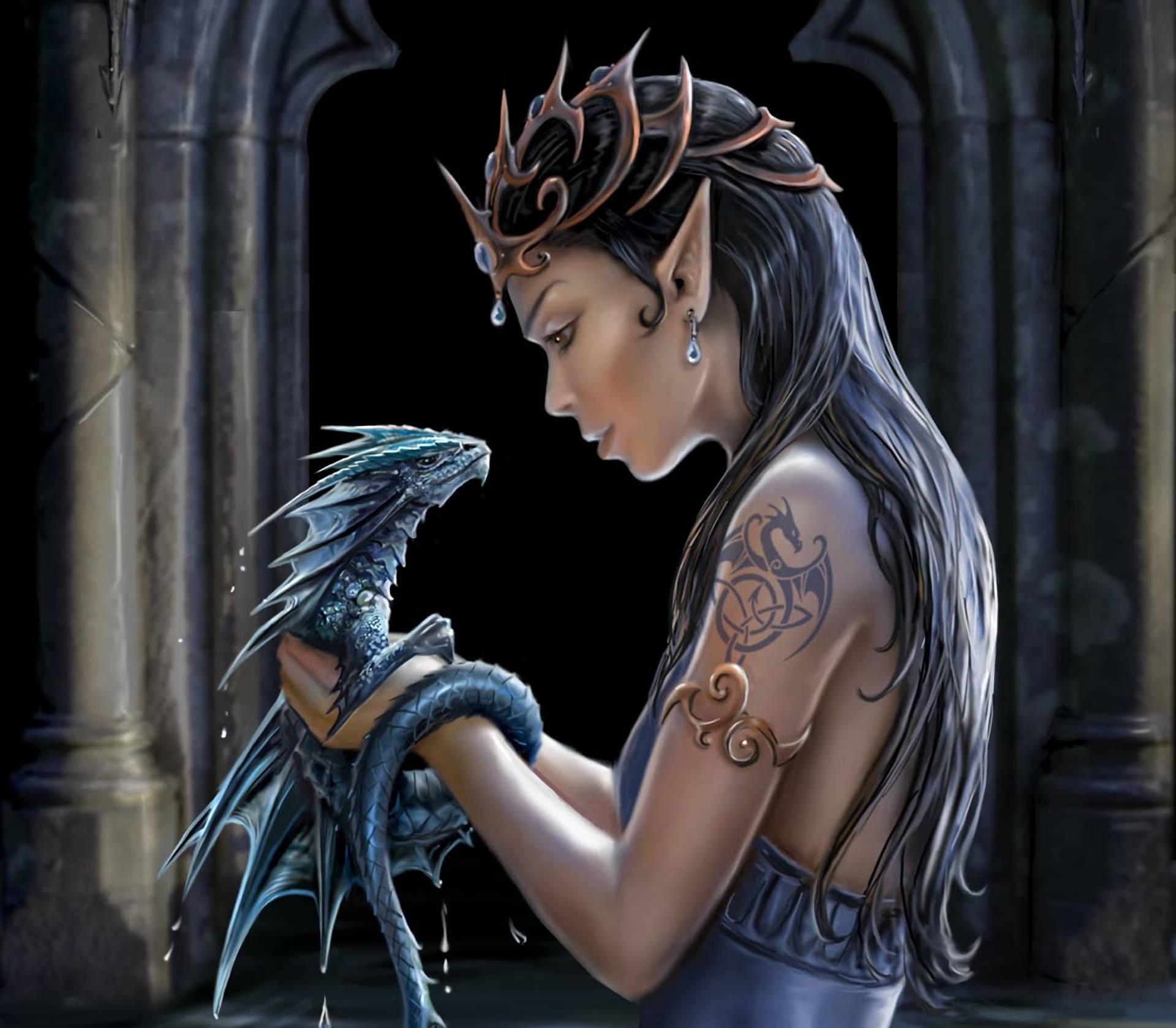 Dragon Elf Wallpapers - Top Free Dragon Elf Backgrounds - WallpaperAccess