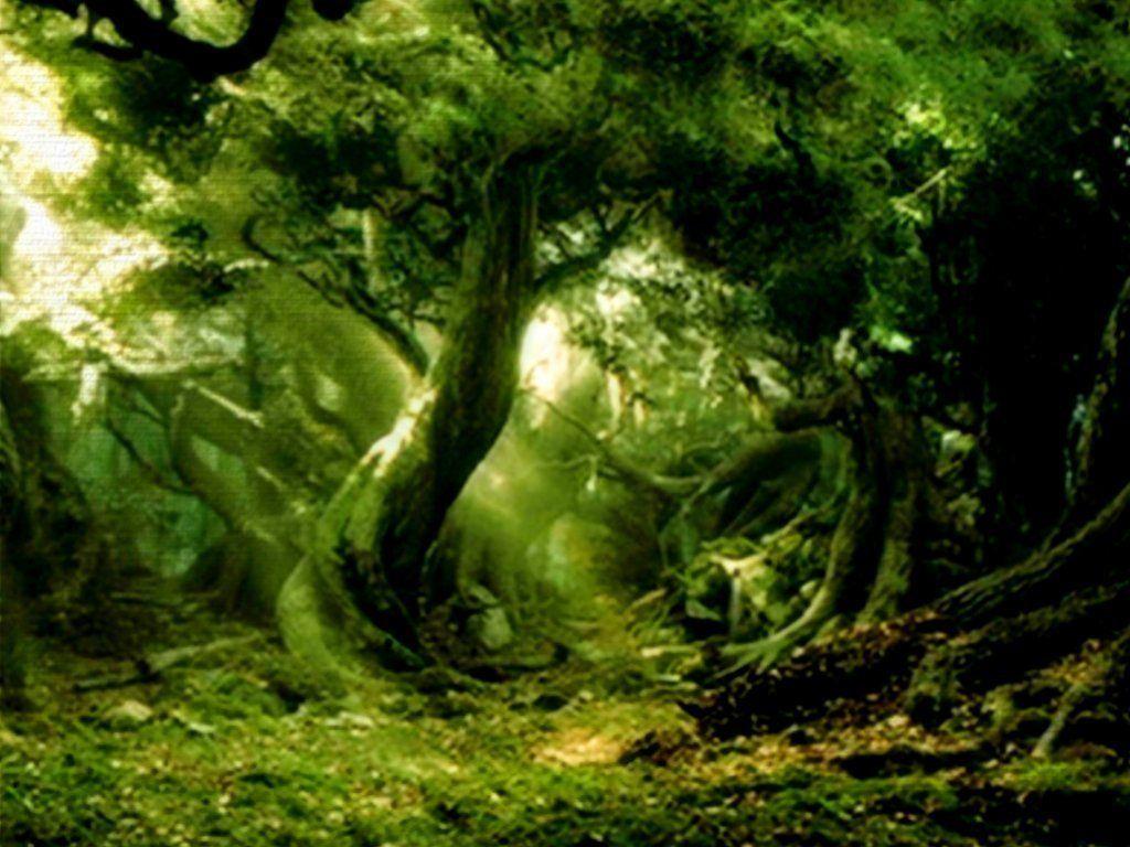 Lotr Green Wallpapers - Top Free Lotr Green Backgrounds - WallpaperAccess