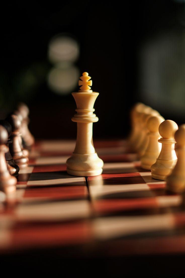 Chess Player Wallpapers - Top Free Chess Player Backgrounds ...