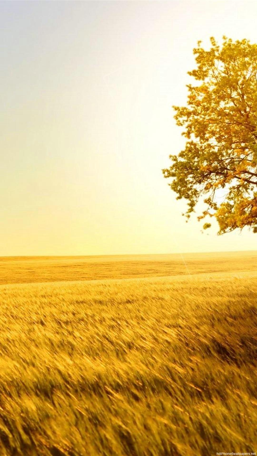 Inspirational Nature Wallpapers - Top Free Inspirational Nature ...