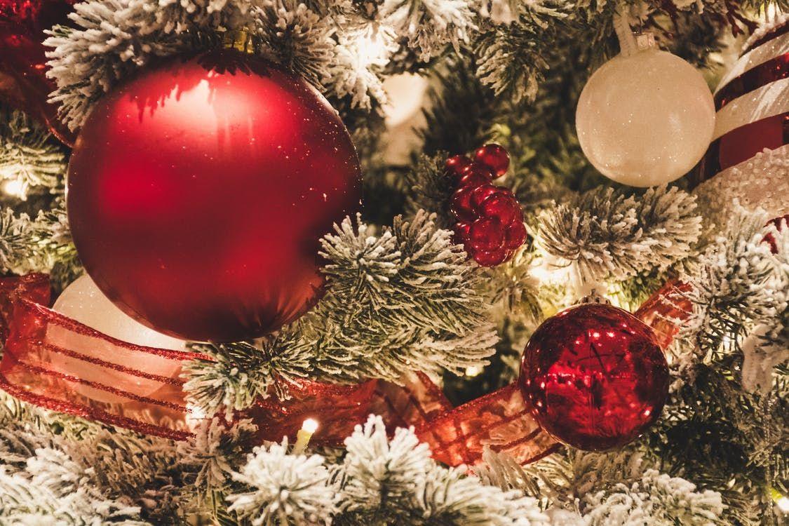 Big Christmas Tree Wallpapers - Top Free Big Christmas Tree Backgrounds ...