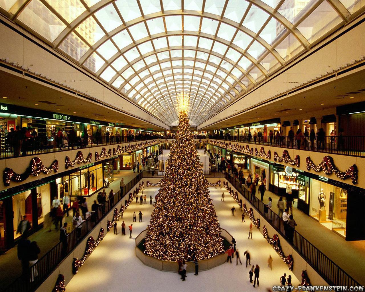 Big Christmas Tree Wallpapers - Top Free Big Christmas Tree Backgrounds ...