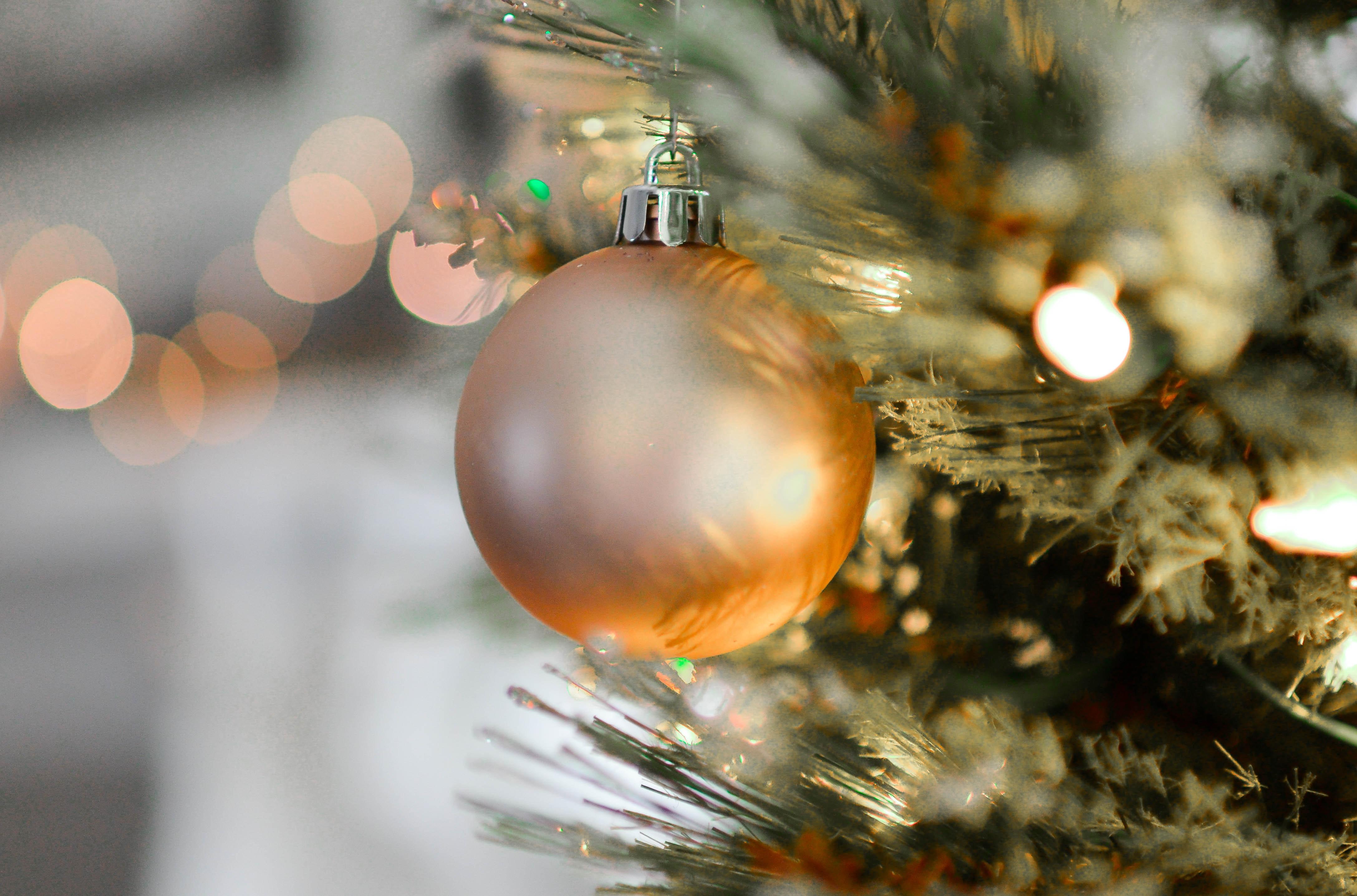 Big Christmas Tree Wallpapers - Top Free Big Christmas Tree Backgrounds ...