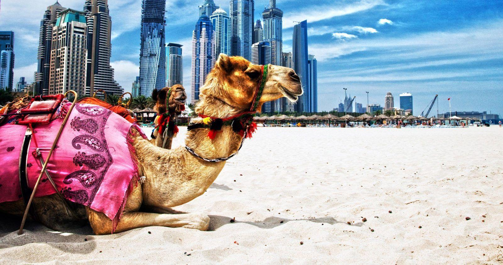 Arabian Desert Wallpapers - Top Free Arabian Desert Backgrounds ...