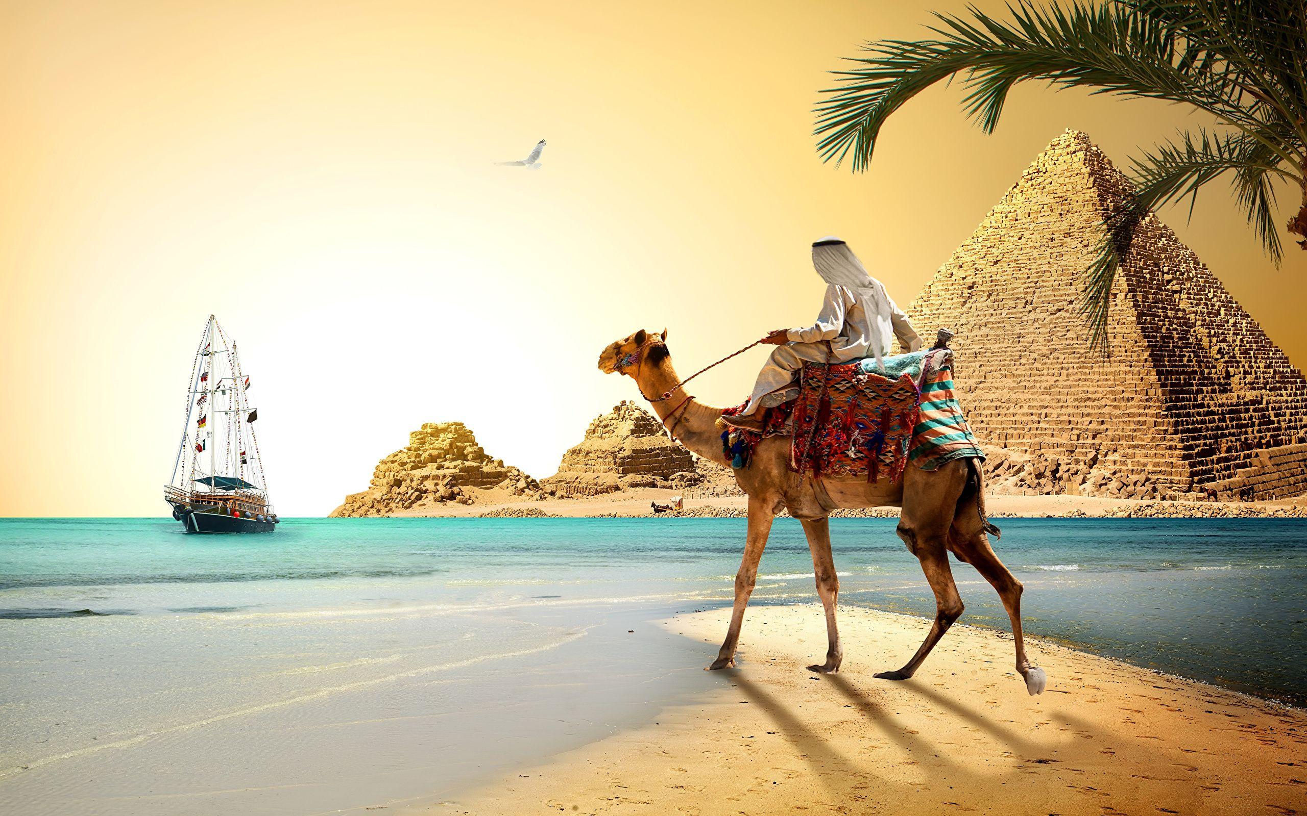 Arabian Desert Wallpapers - Top Free Arabian Desert Backgrounds ...