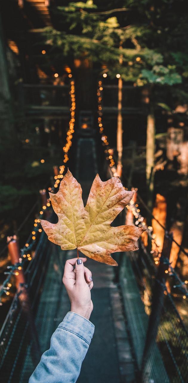 Fall Vibes Wallpapers - Top Free Fall Vibes Backgrounds - WallpaperAccess