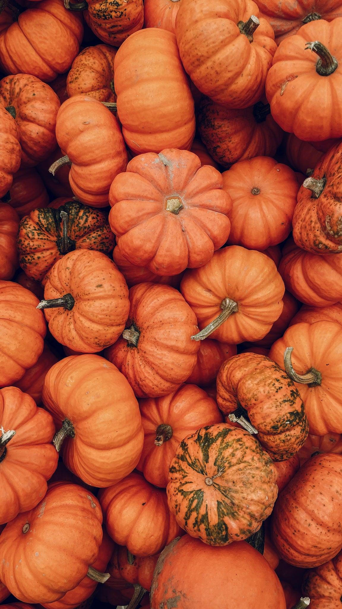 Fall Vibes Wallpapers Top Free Fall Vibes Backgrounds Wallpaperaccess