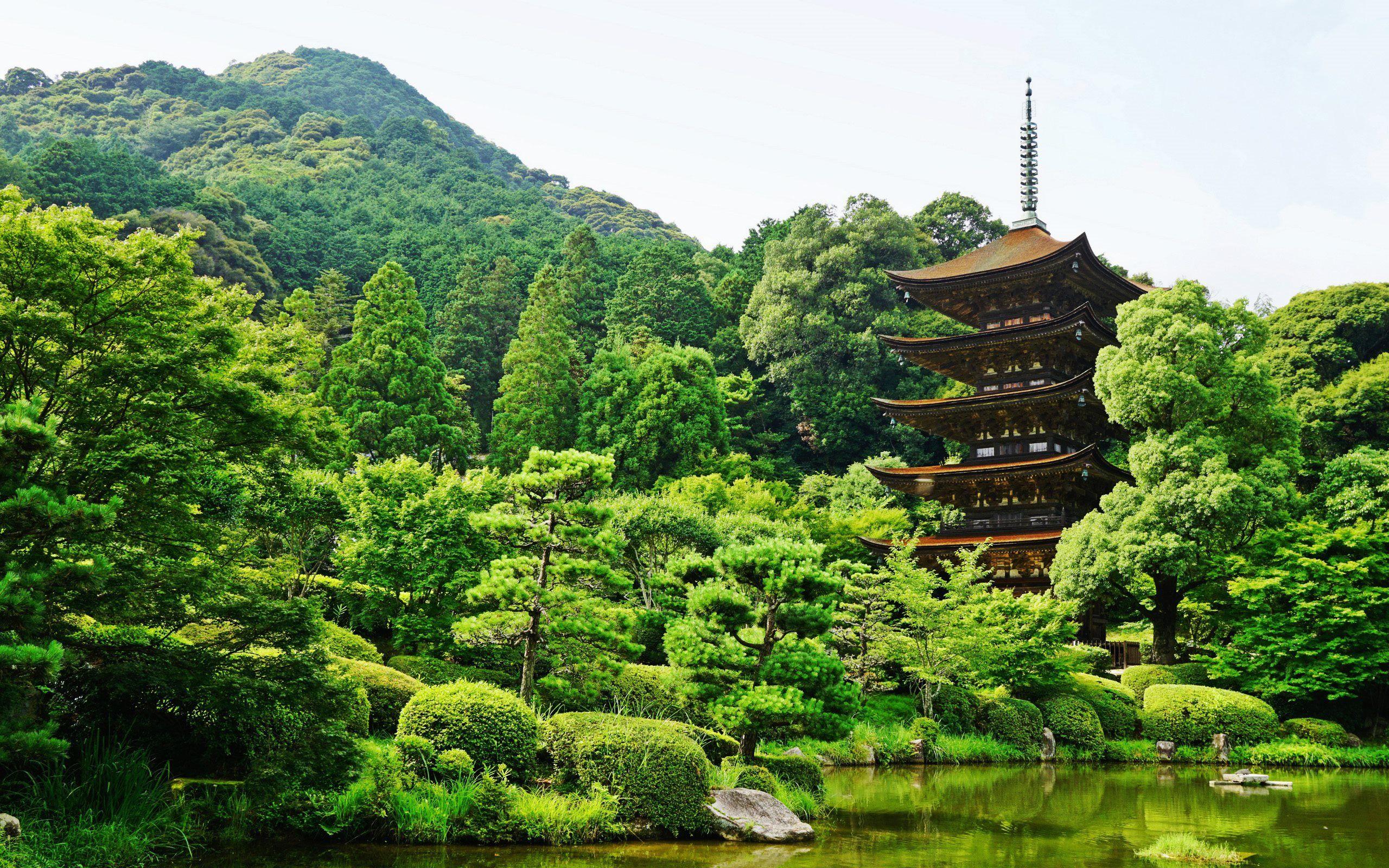 Summer in Japan Wallpapers - Top Free Summer in Japan Backgrounds ...