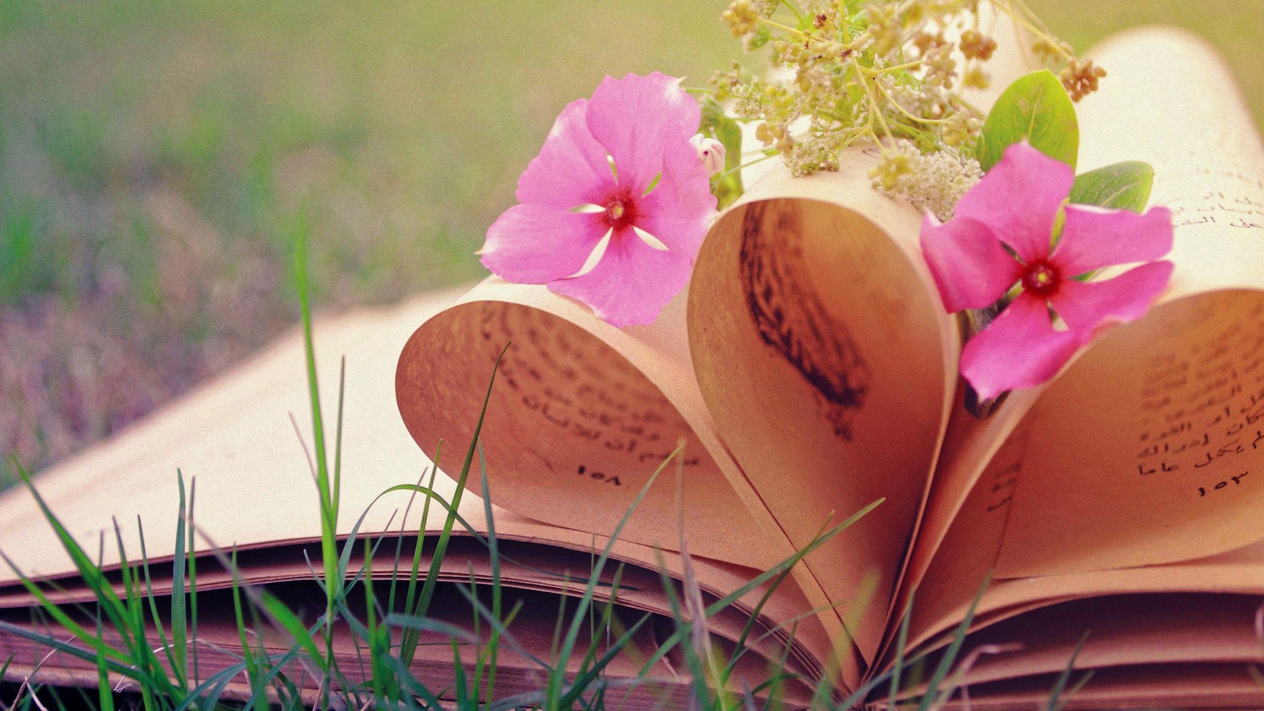 Flowers and Book Wallpapers - Top Free Flowers and Book Backgrounds ...