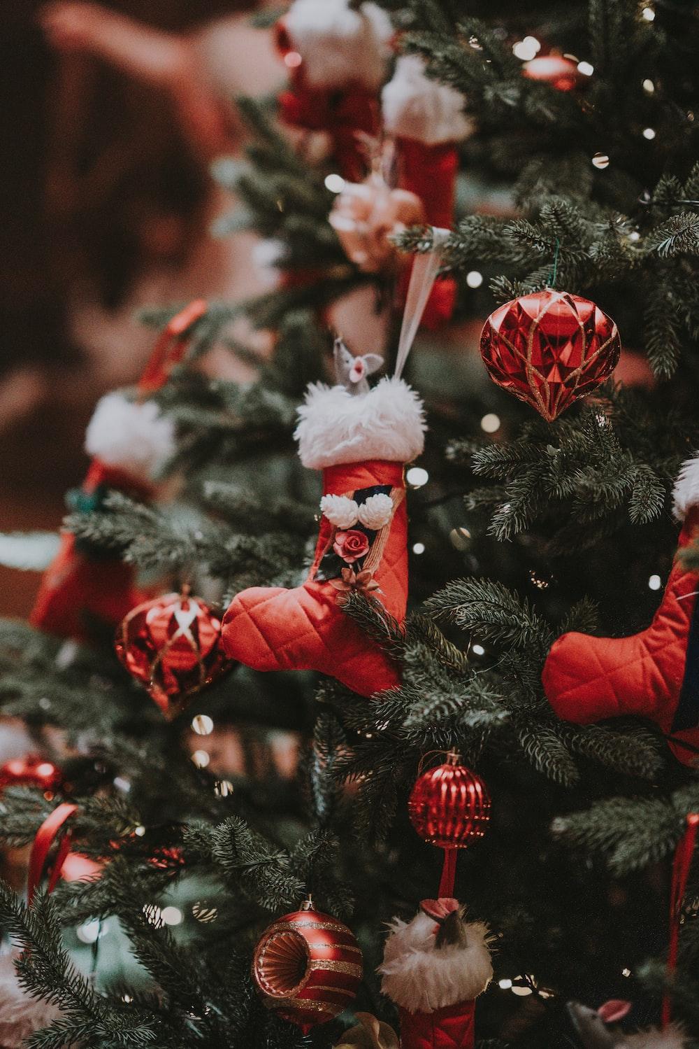 Indoor Christmas Tree Wallpapers - Top Free Indoor Christmas Tree ...