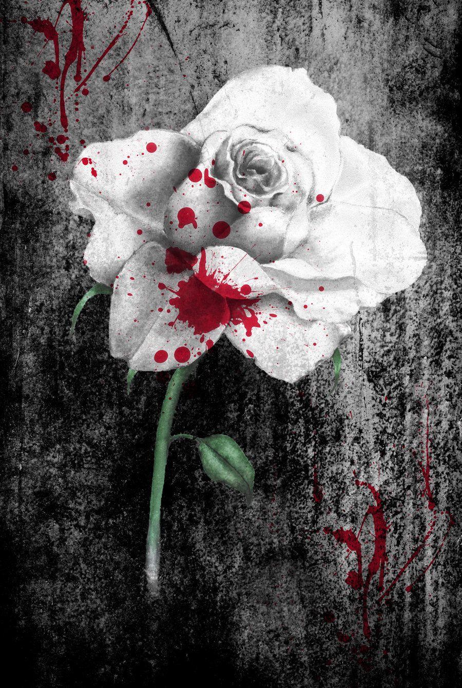 Bloody Rose Wallpapers - Top Free Bloody Rose Backgrounds - WallpaperAccess