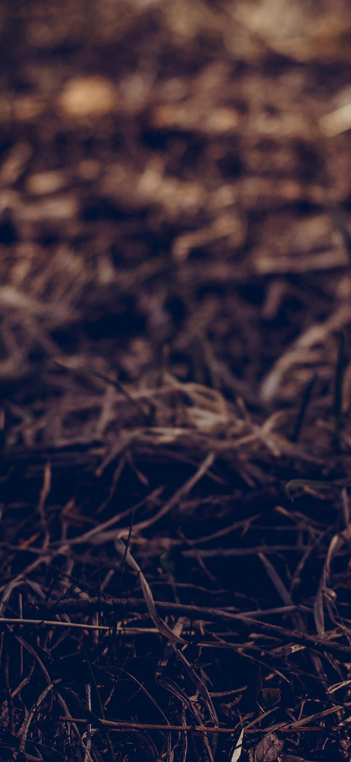 Vintage Brown Wallpapers - Top Free Vintage Brown Backgrounds ...