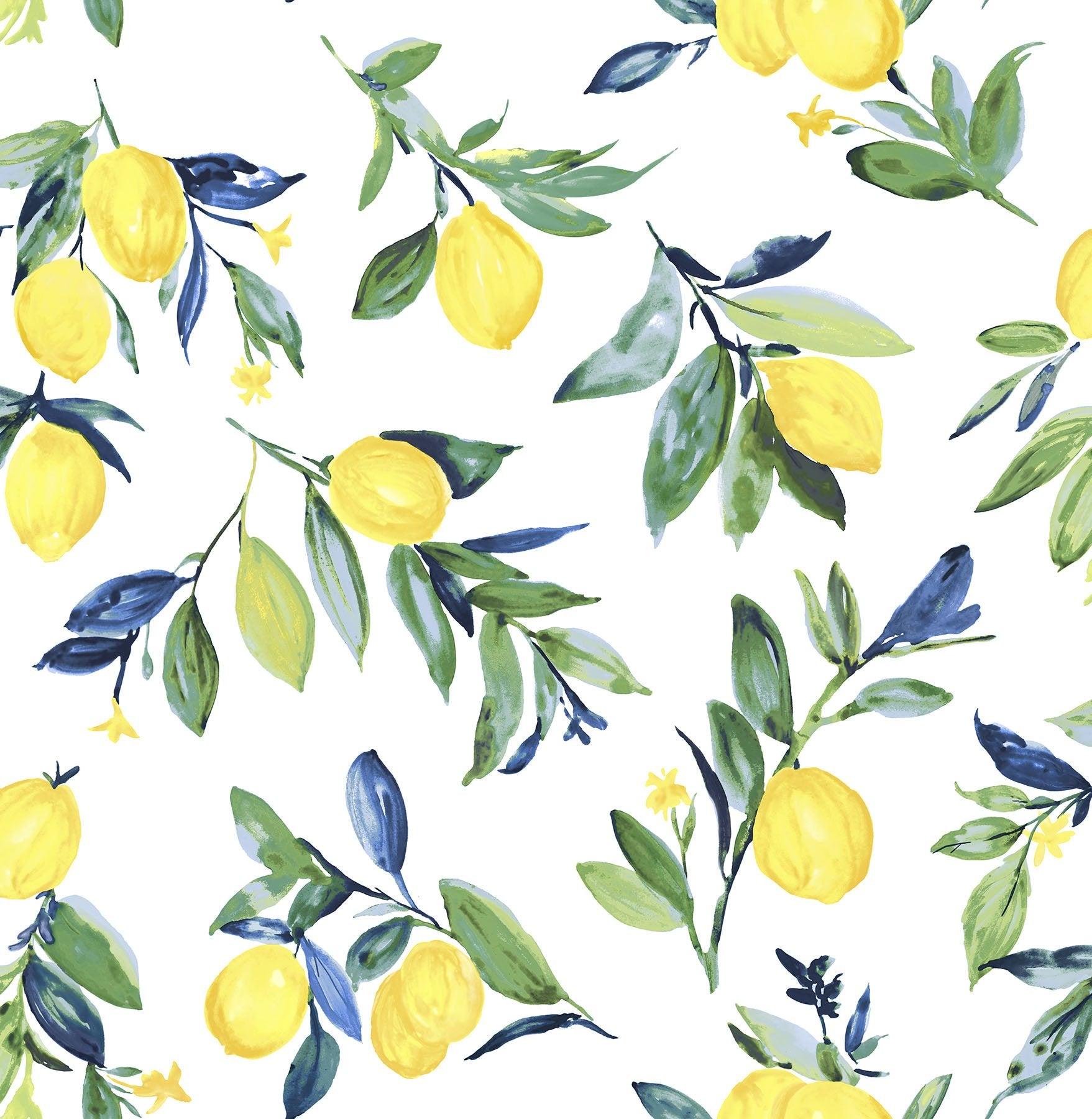Lemon Art Wallpapers - Top Free Lemon Art Backgrounds - WallpaperAccess