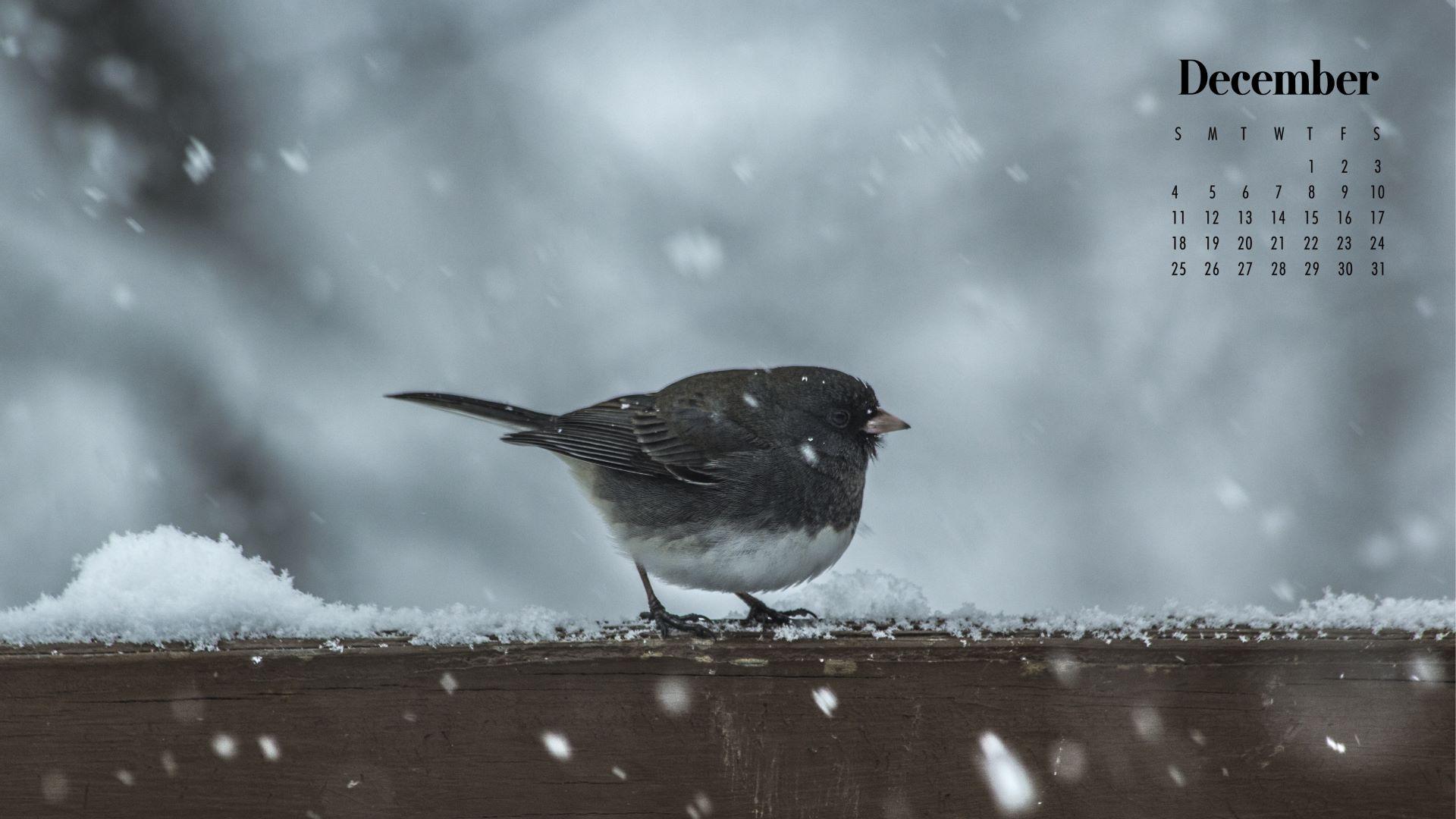 December 2022 Calendar Wallpapers - Top Free December 2022 Calendar ...