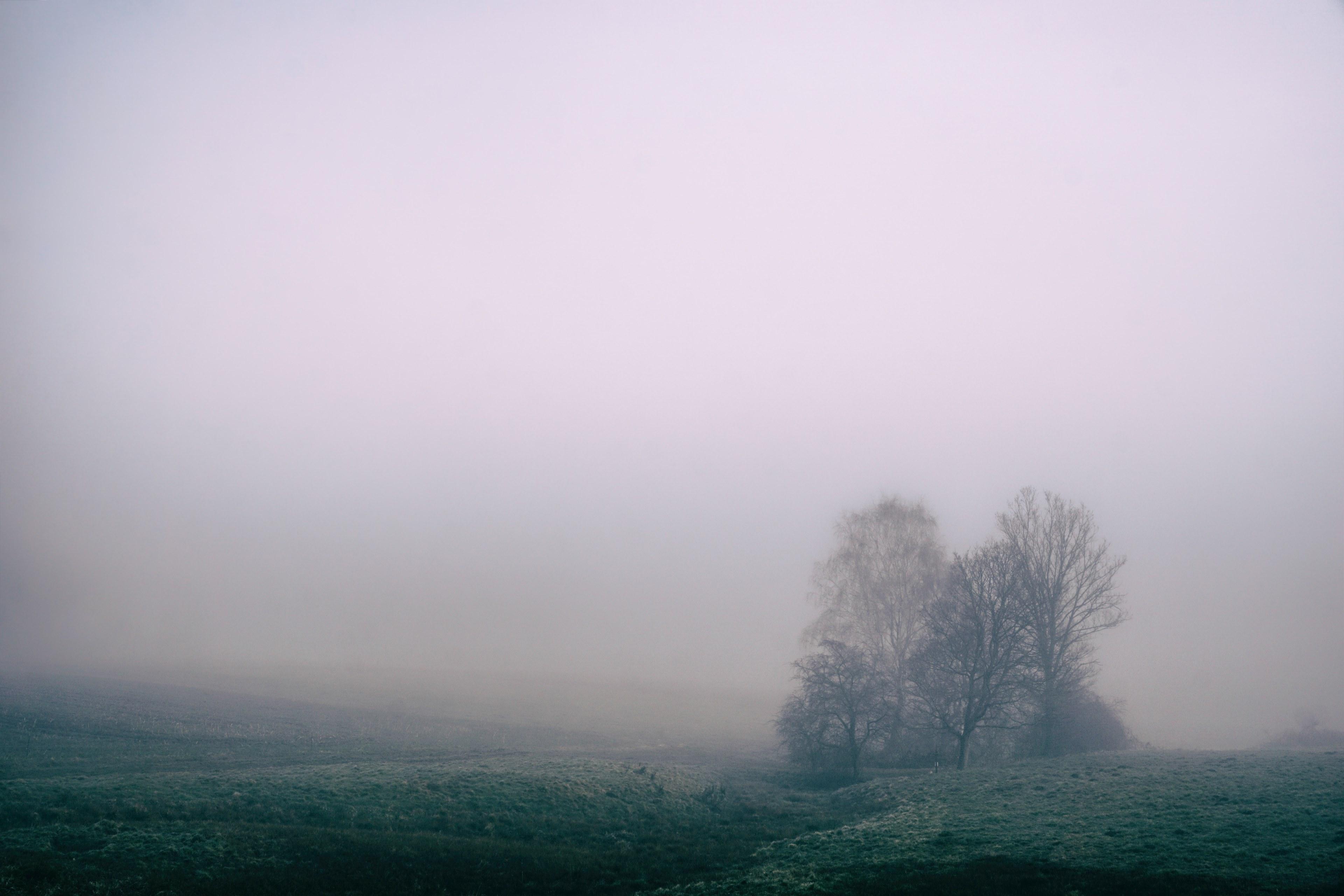 Foggy Field Wallpapers - Top Free Foggy Field Backgrounds - WallpaperAccess