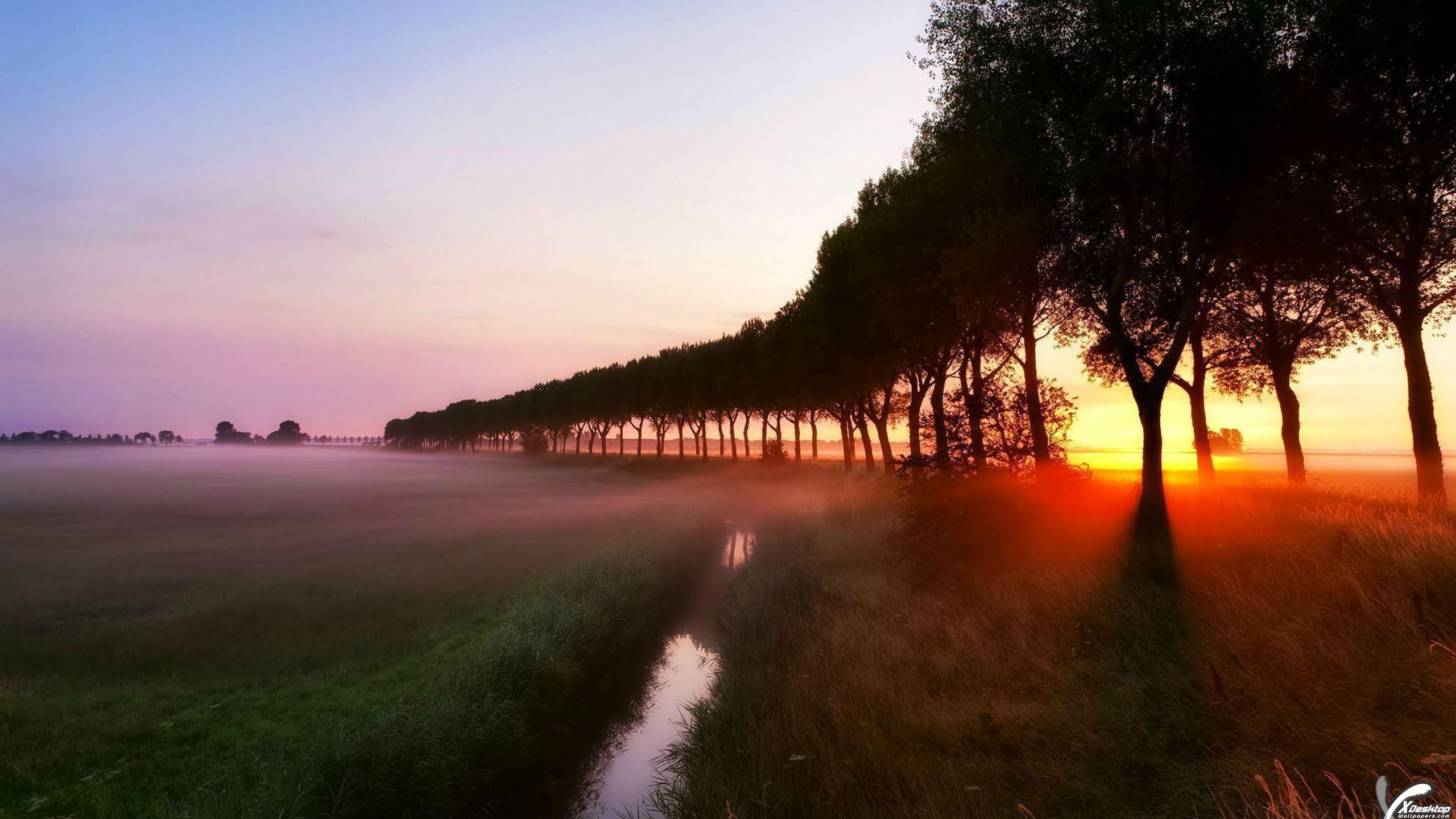 Foggy Field Wallpapers - Top Free Foggy Field Backgrounds - WallpaperAccess