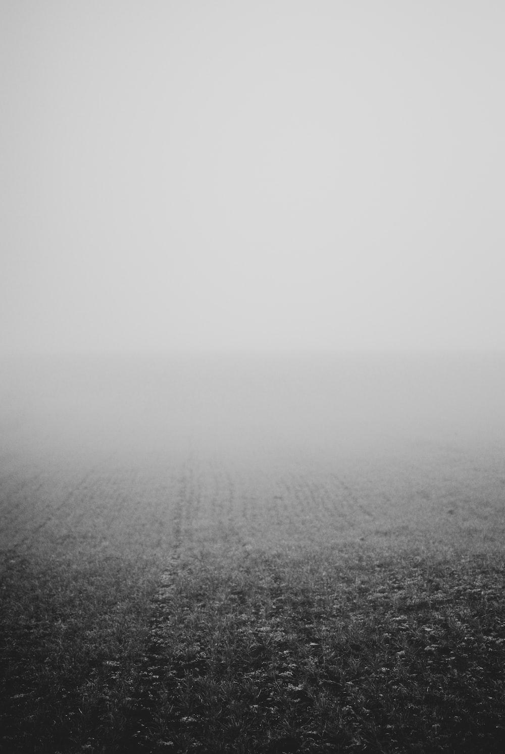 Foggy Field Wallpapers - Top Free Foggy Field Backgrounds - WallpaperAccess