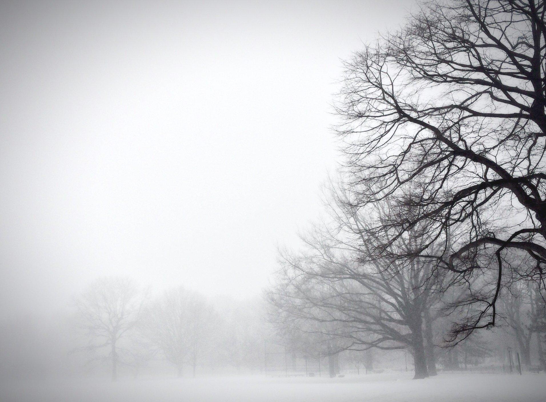 Foggy Field Wallpapers - Top Free Foggy Field Backgrounds - WallpaperAccess