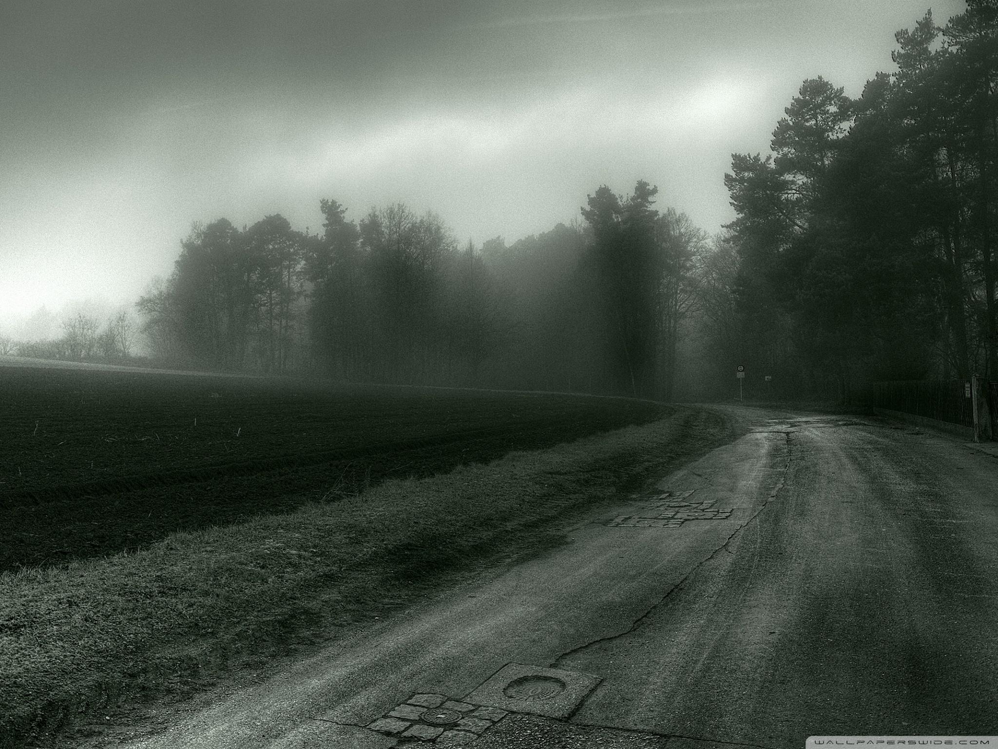 Foggy Field Wallpapers - Top Free Foggy Field Backgrounds - WallpaperAccess