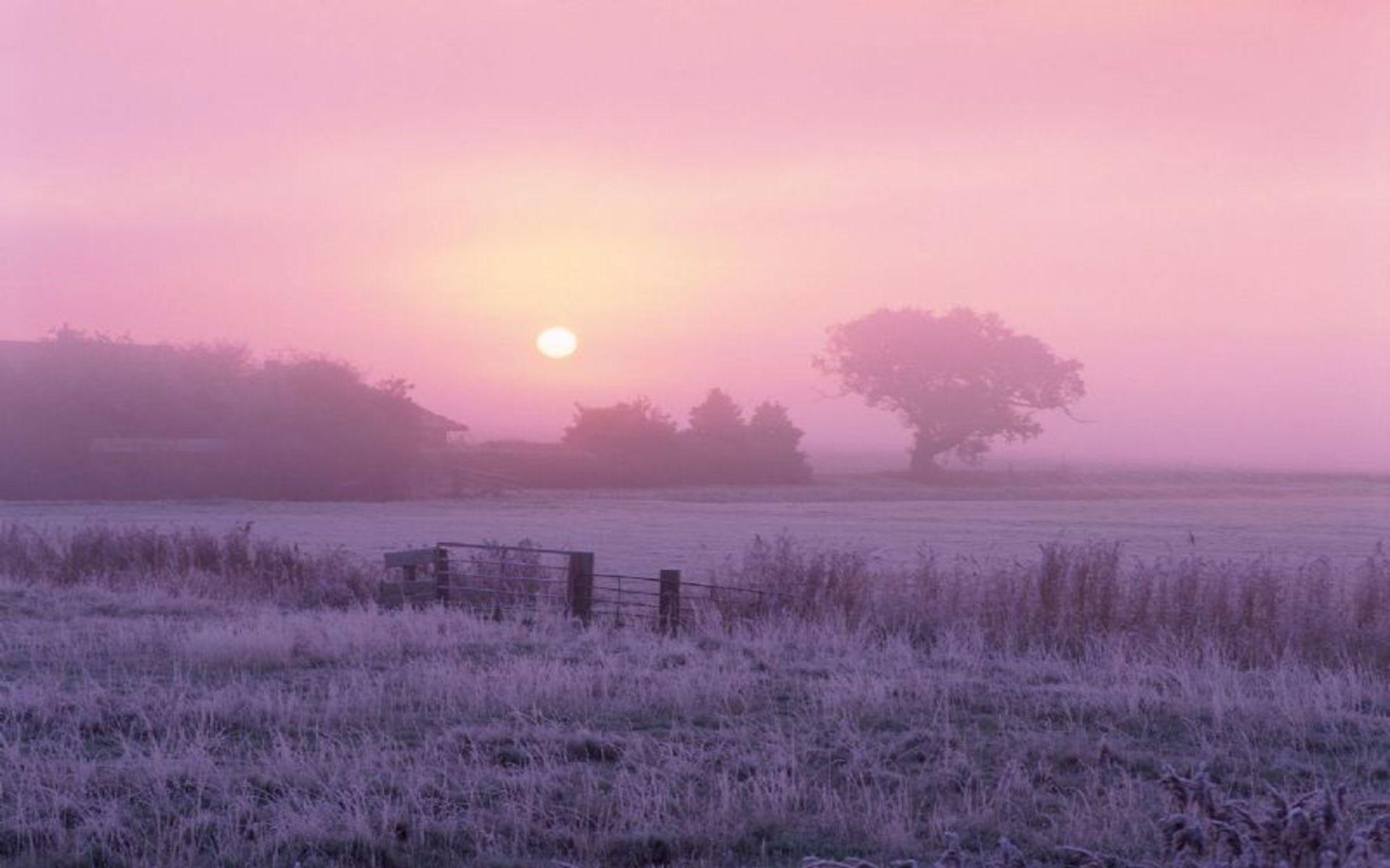 Foggy Field Wallpapers - Top Free Foggy Field Backgrounds - WallpaperAccess