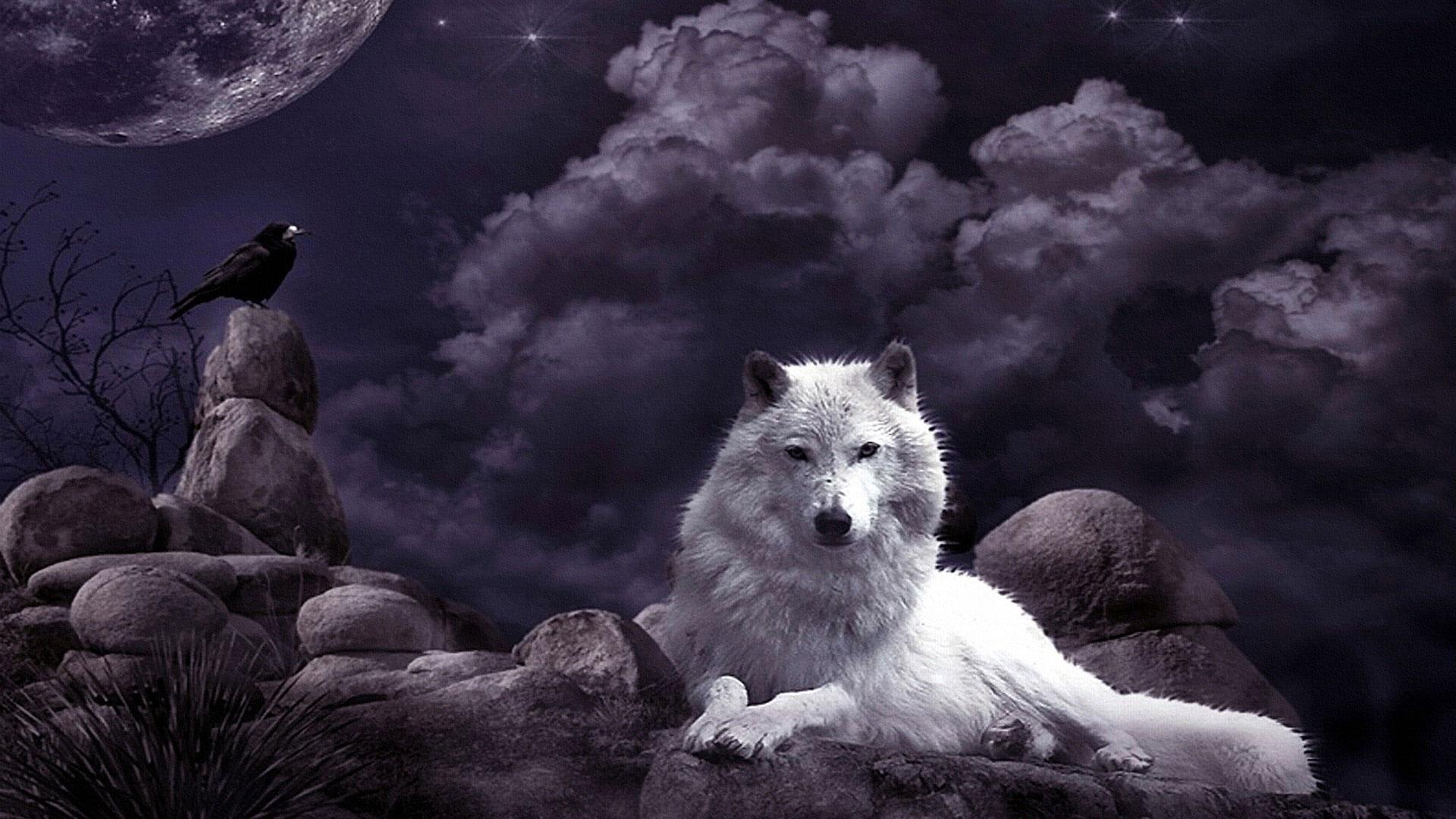 Mystical Moon Wallpapers - Top Free Mystical Moon Backgrounds ...