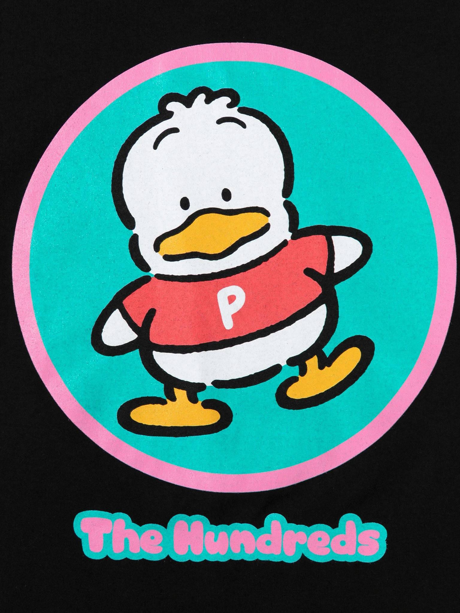 Pekkle Wallpapers - Top Free Pekkle Backgrounds - WallpaperAccess