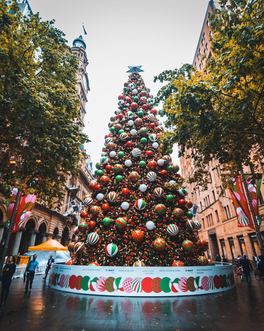 Aussie Christmas Wallpapers - Top Free Aussie Christmas Backgrounds ...