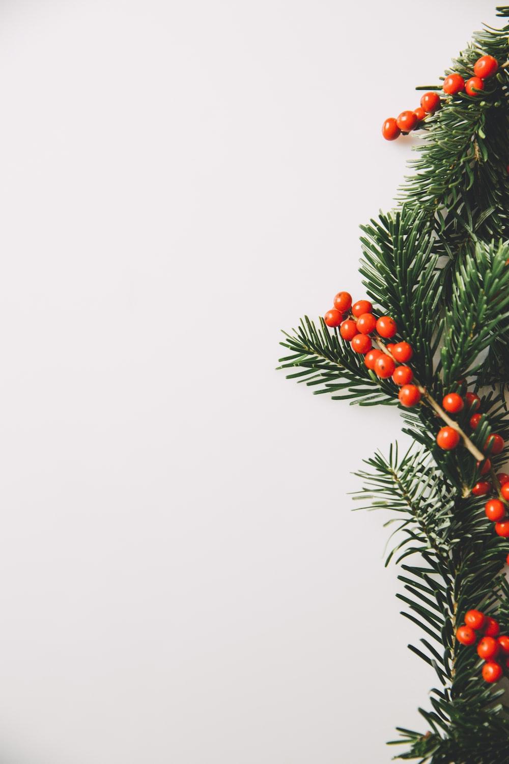 Christmas Portrait Wallpapers - Top Free Christmas Portrait Backgrounds ...