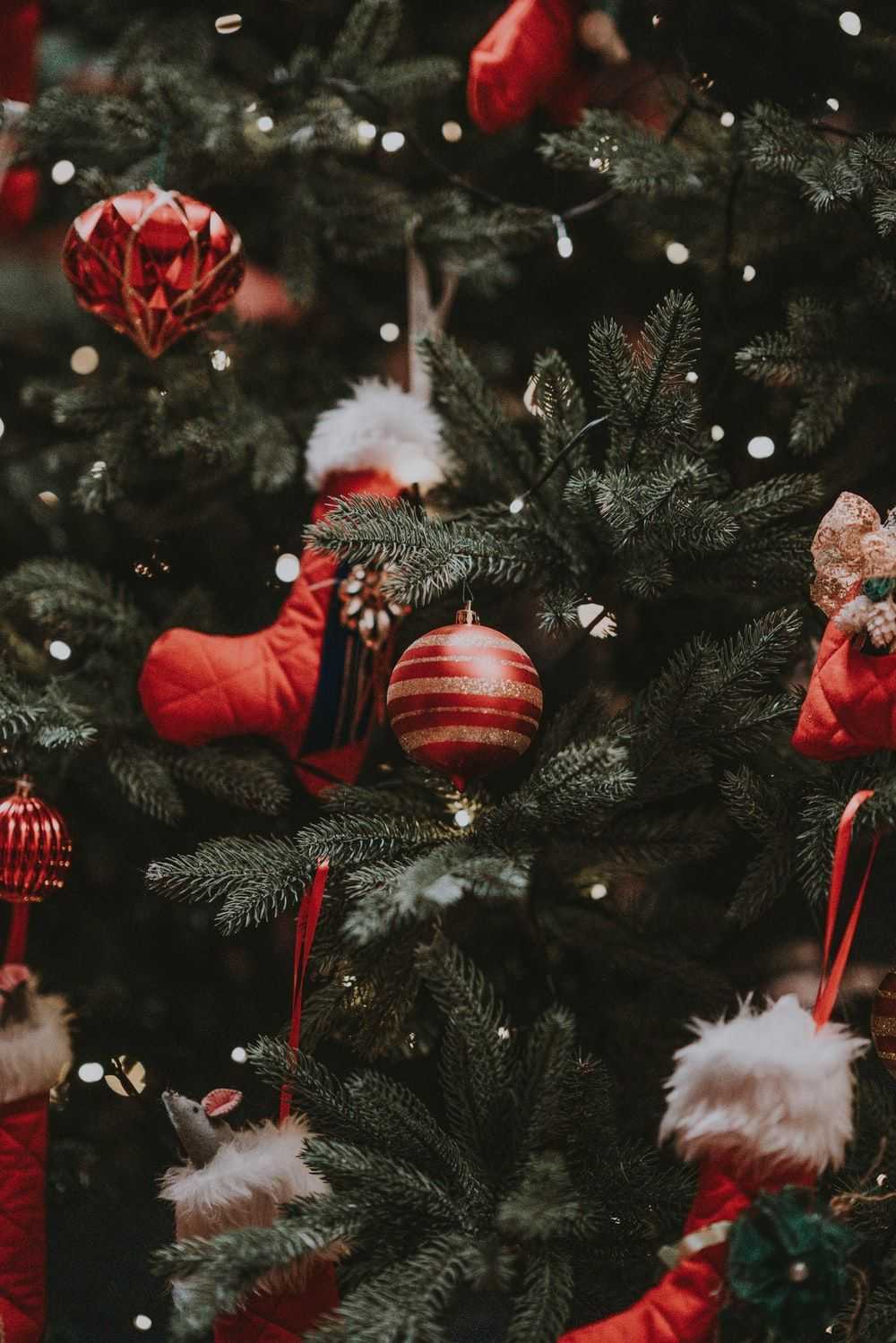 Christmas Portrait Wallpapers - Top Free Christmas Portrait Backgrounds ...