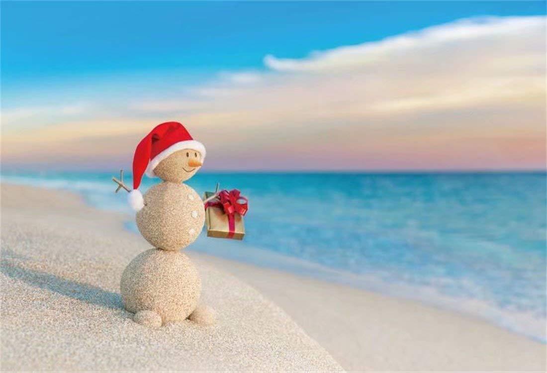 Summer Christmas Wallpapers - Top Free Summer Christmas Backgrounds ...