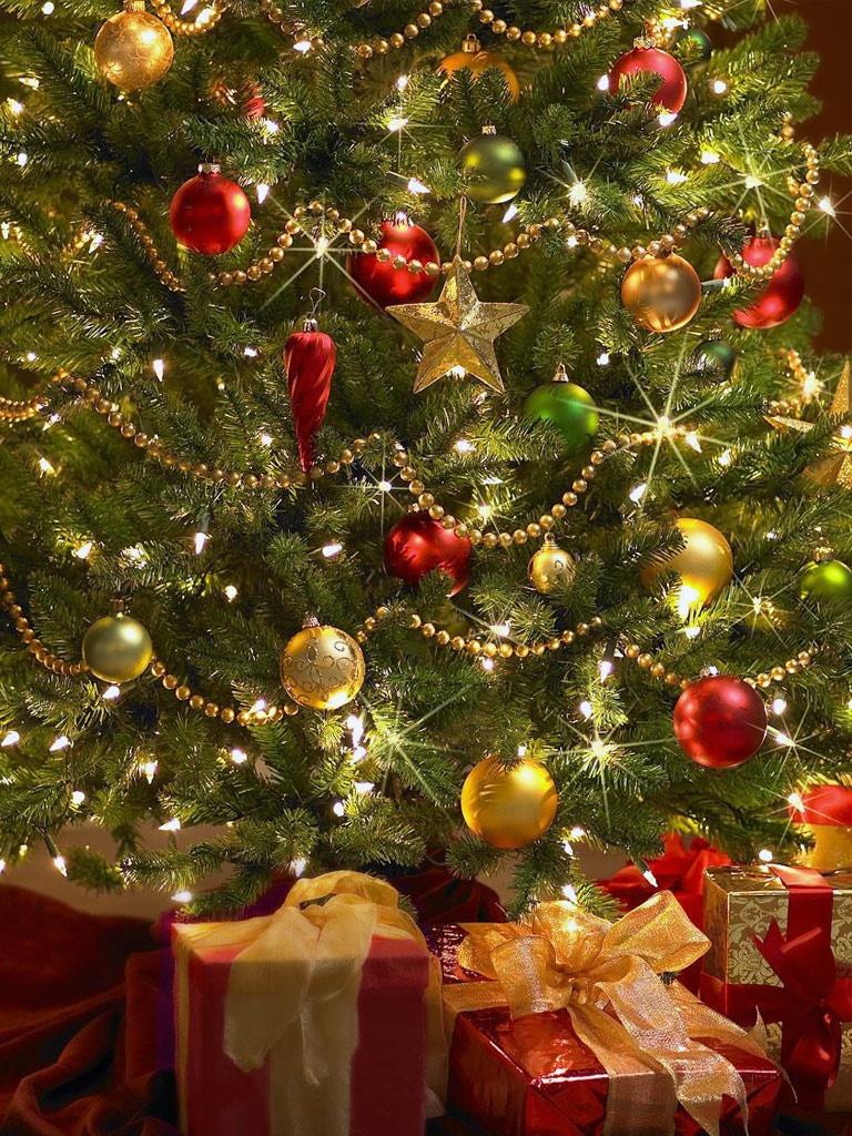 Christmas Portrait Wallpapers - Top Free Christmas Portrait Backgrounds ...