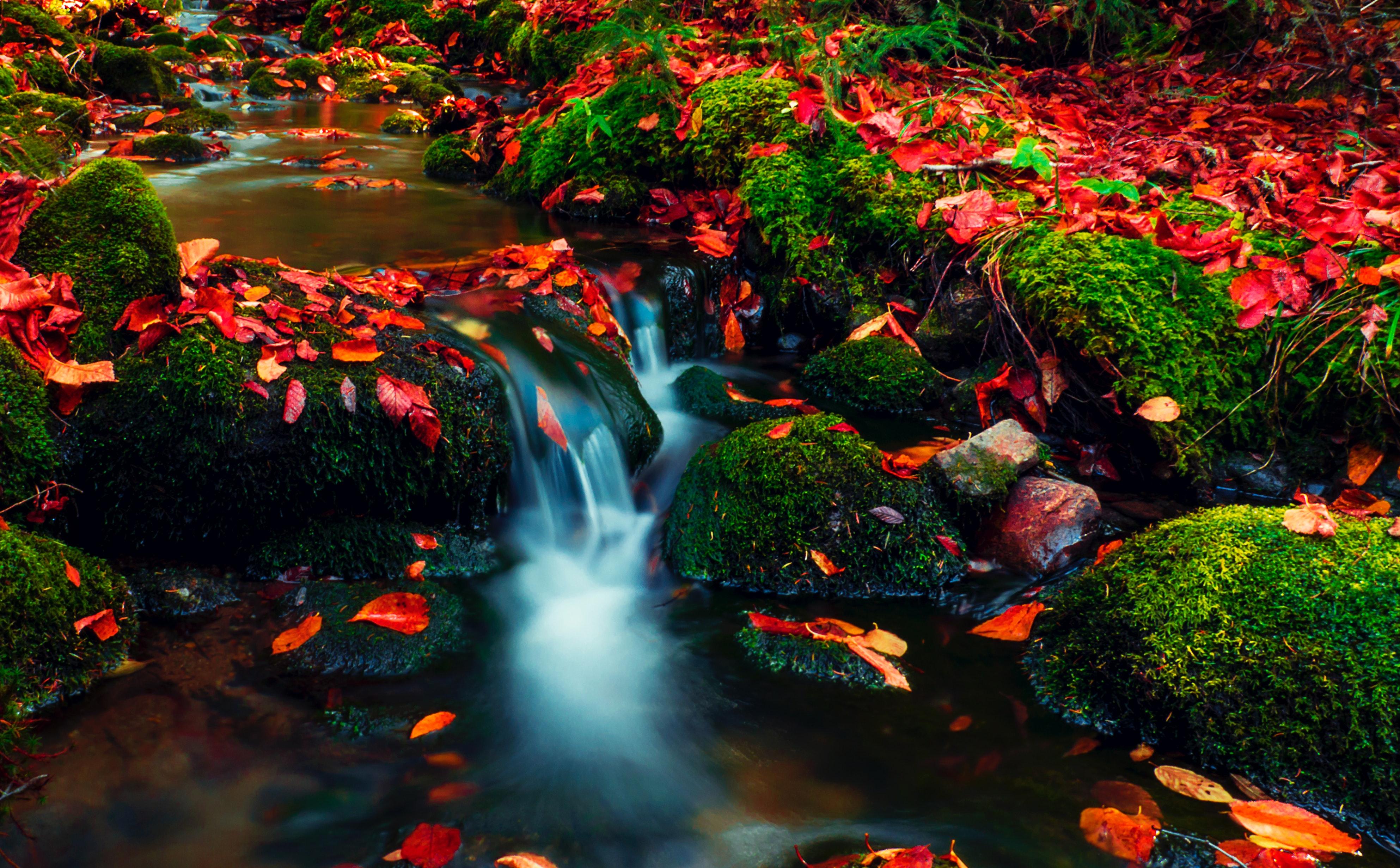 Amazing Fall HD Wallpapers - Top Free Amazing Fall HD Backgrounds ...