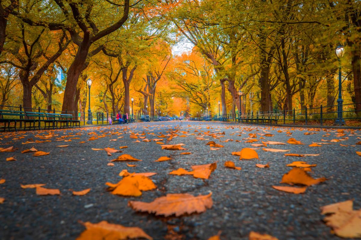Amazing Fall HD Wallpapers - Top Free Amazing Fall HD Backgrounds ...