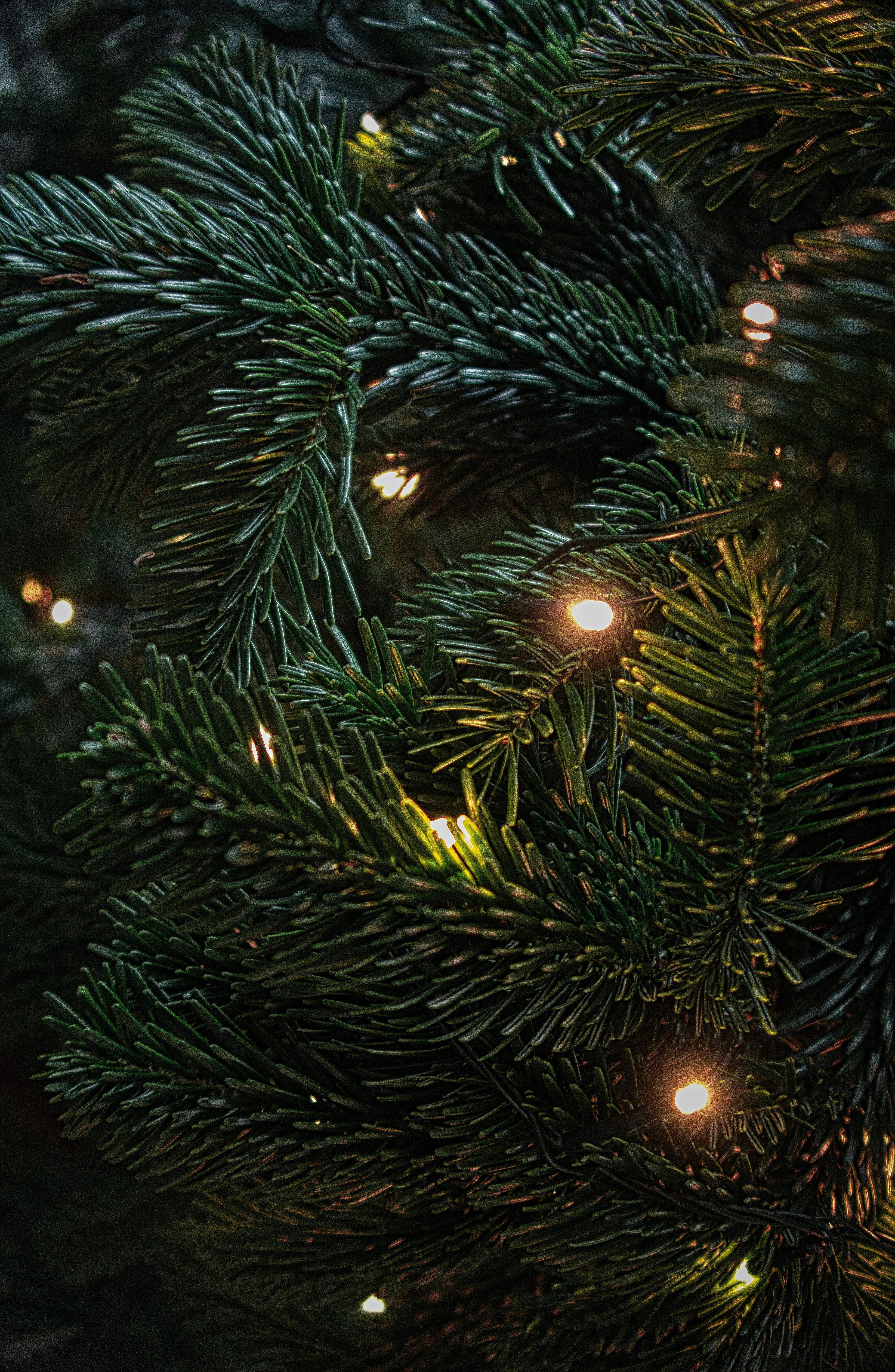 Christmas Vertical Wallpapers - Top Free Christmas Vertical Backgrounds ...