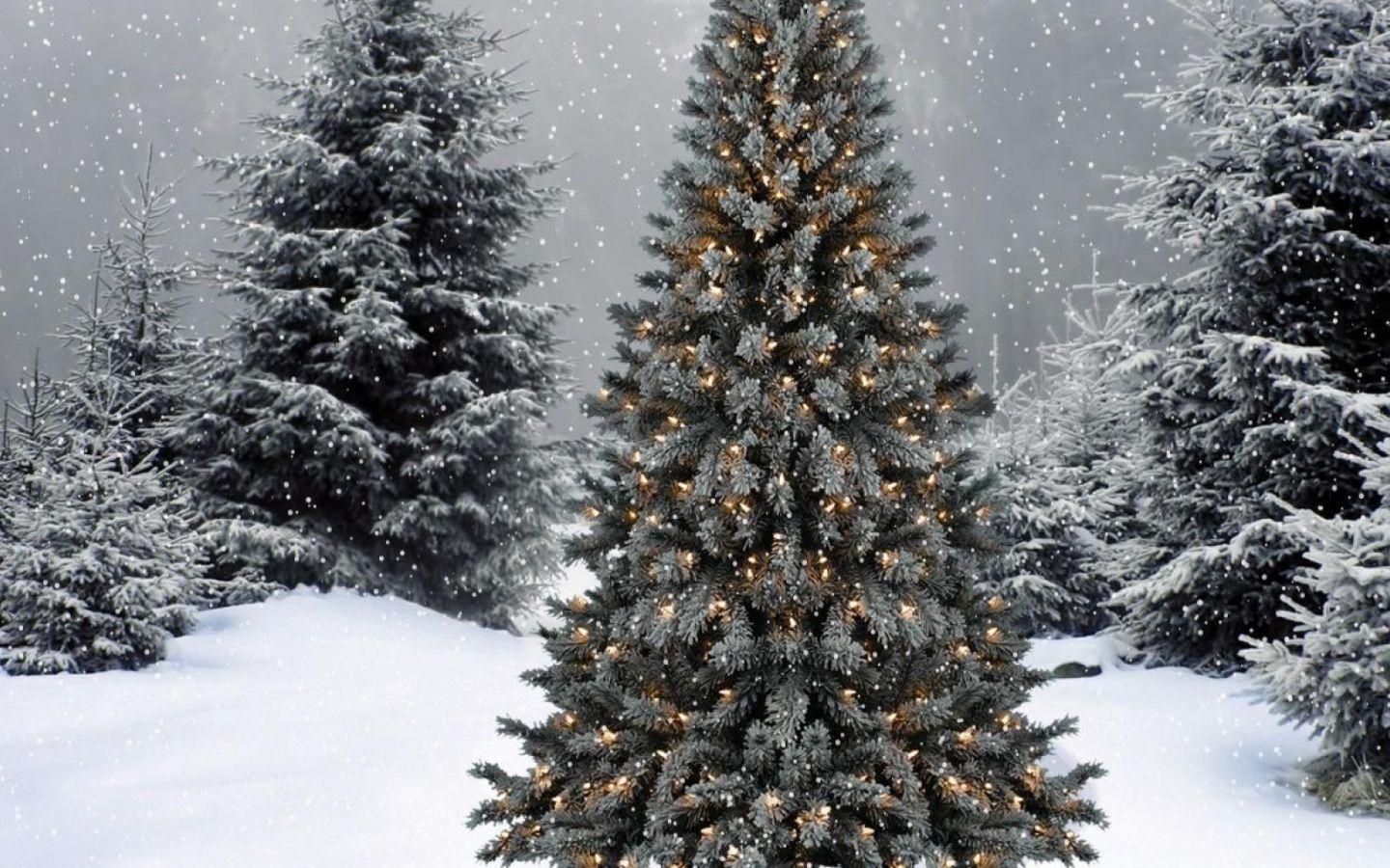 Panoramic Christmas Wallpapers - Top Free Panoramic Christmas ...