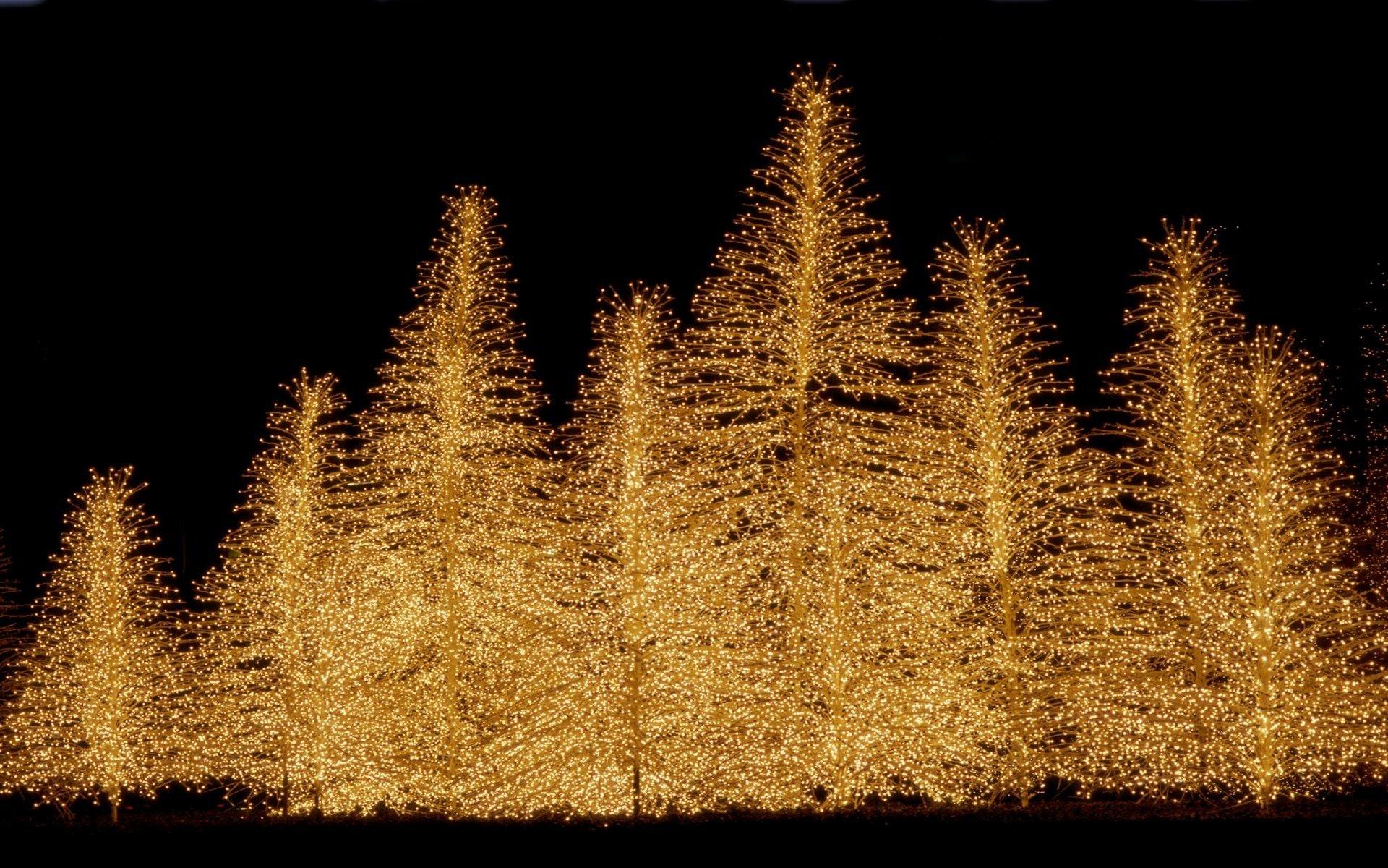 Christmas Lights 4k Wallpapers - Top Free Christmas Lights 4k ...