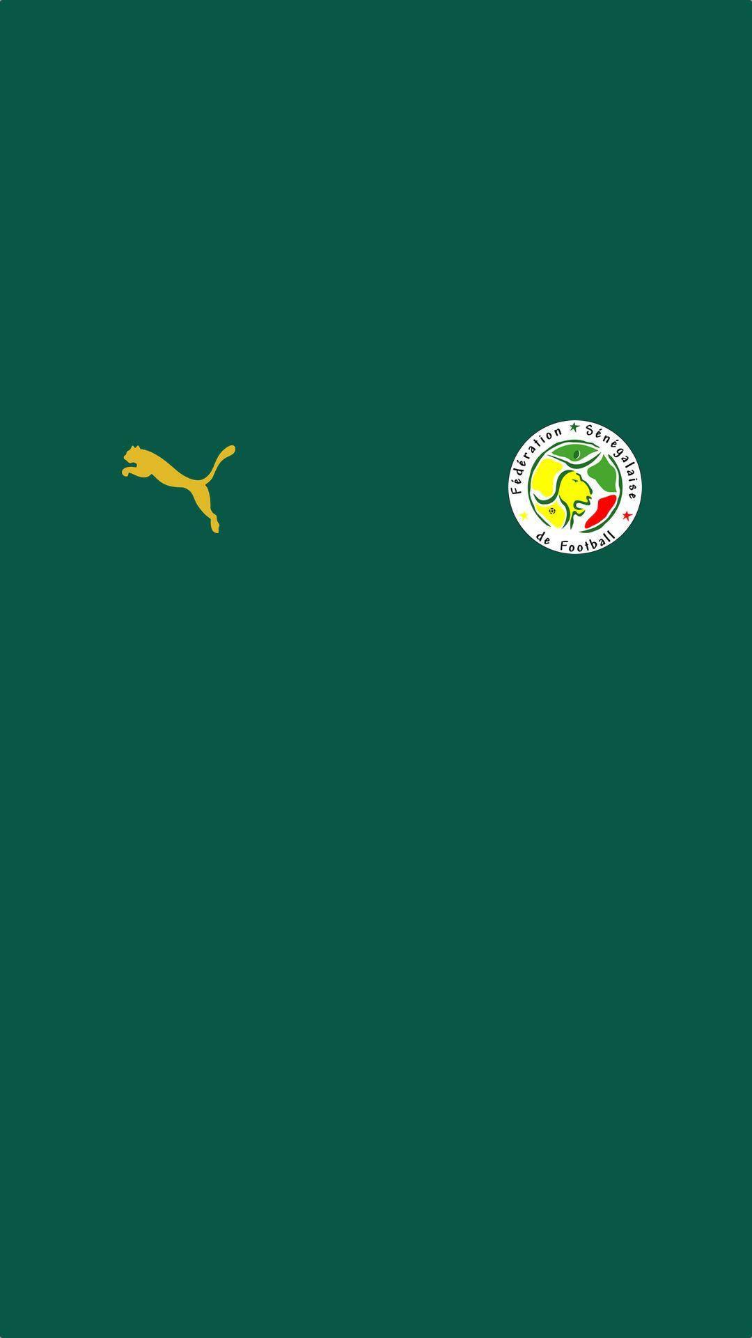 Senegal Flag Wallpapers - Top Free Senegal Flag Backgrounds ...