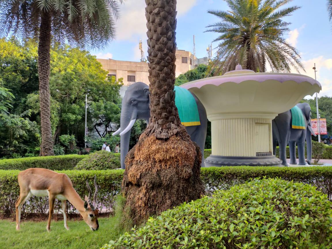 IIT Madras Wallpapers - Top Free IIT Madras Backgrounds - WallpaperAccess