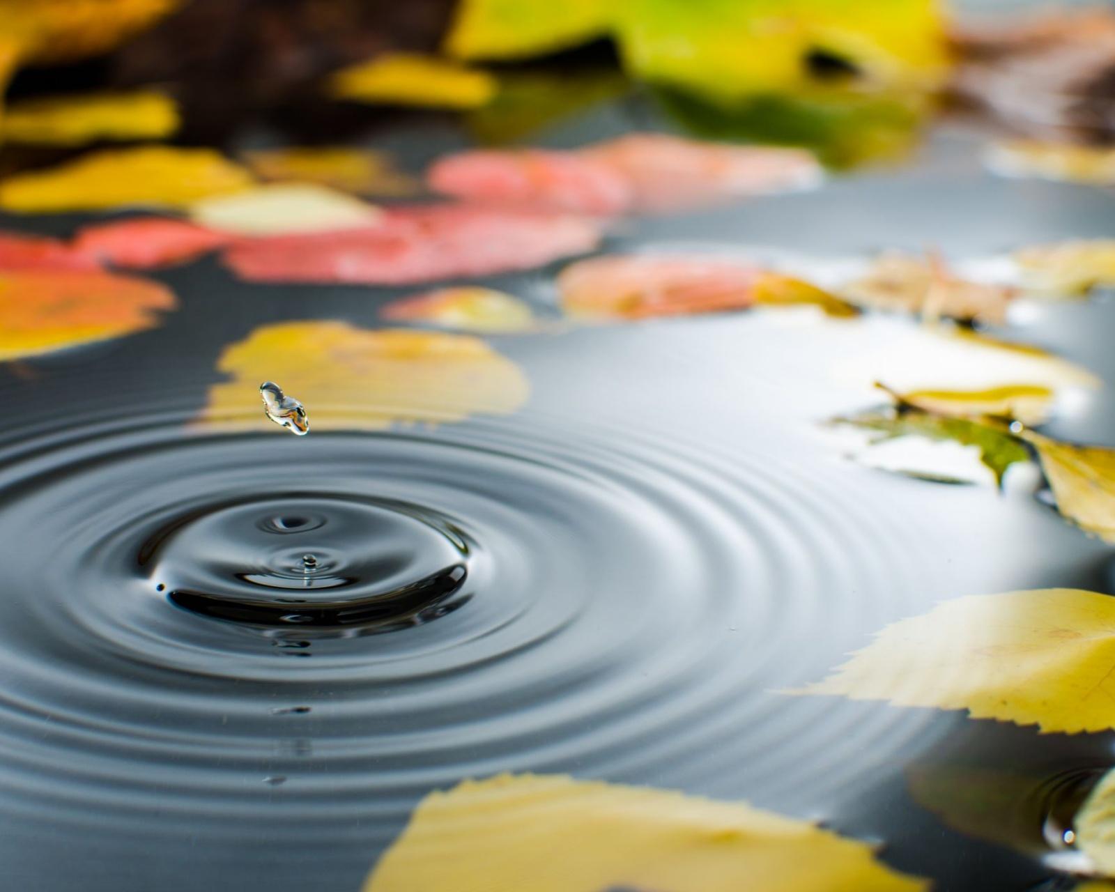 Puddle Wallpapers - Top Free Puddle Backgrounds - WallpaperAccess