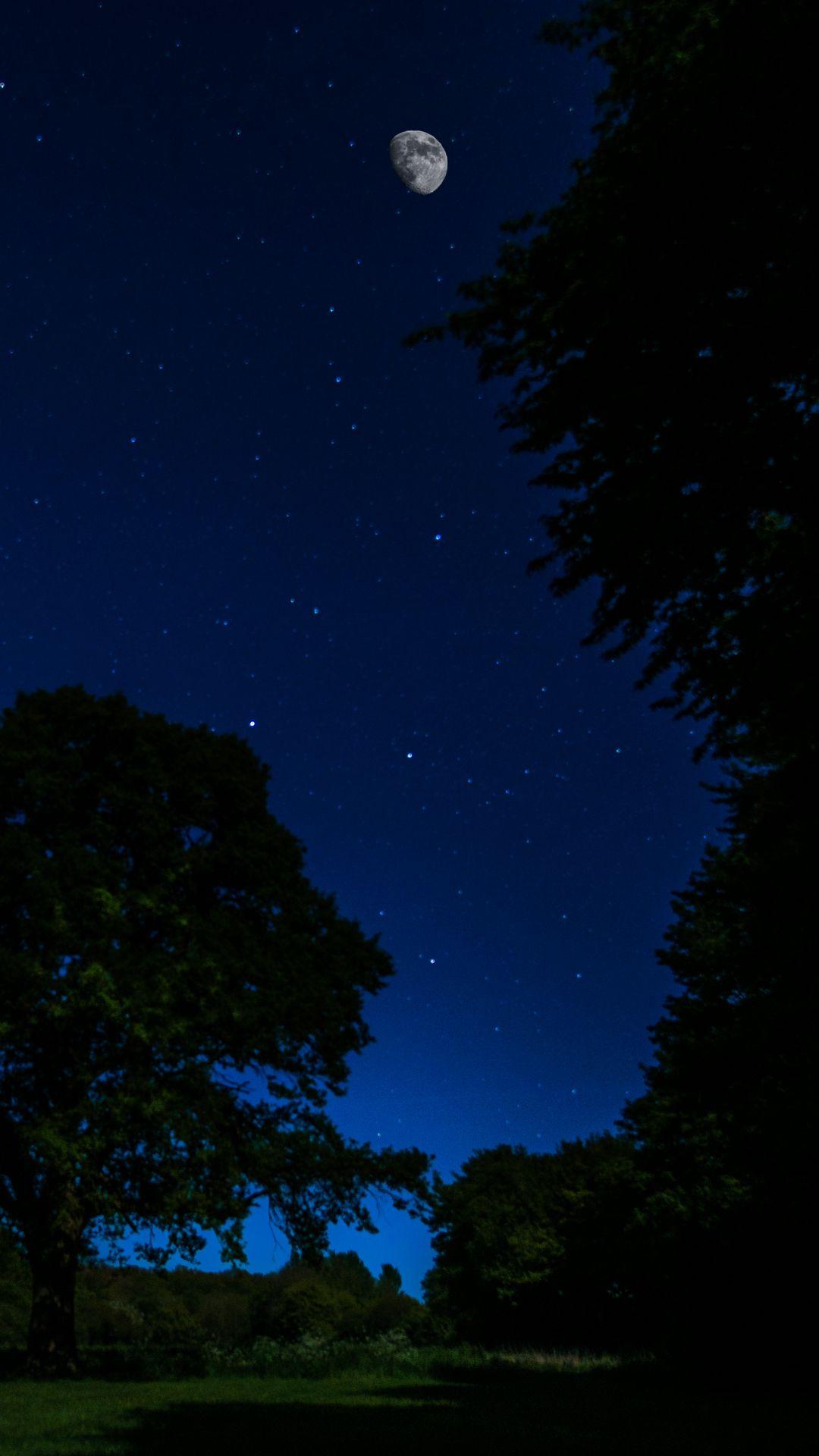 Night Vibe Wallpapers - Top Free Night Vibe Backgrounds - WallpaperAccess