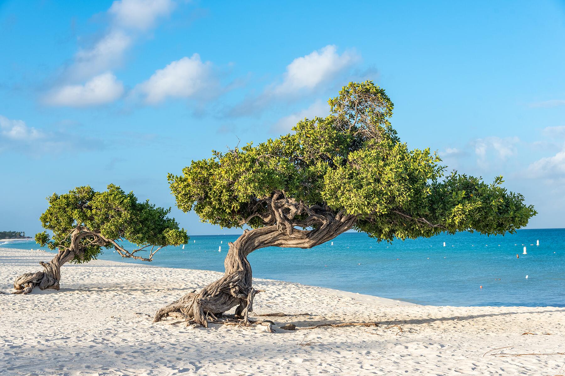 Aruba HD Wallpapers - Top Free Aruba HD Backgrounds - WallpaperAccess