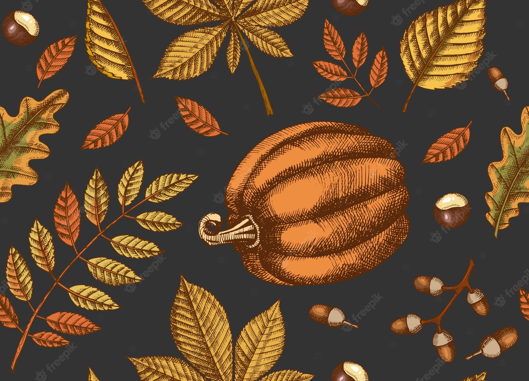 Fall Illustration Wallpapers - Top Free Fall Illustration Backgrounds ...
